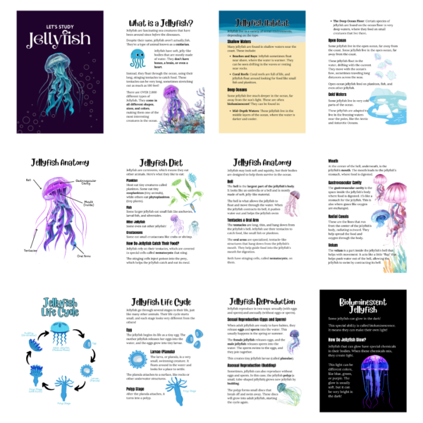 Unit Study: Jellyfish - Digital Bakerie Shop