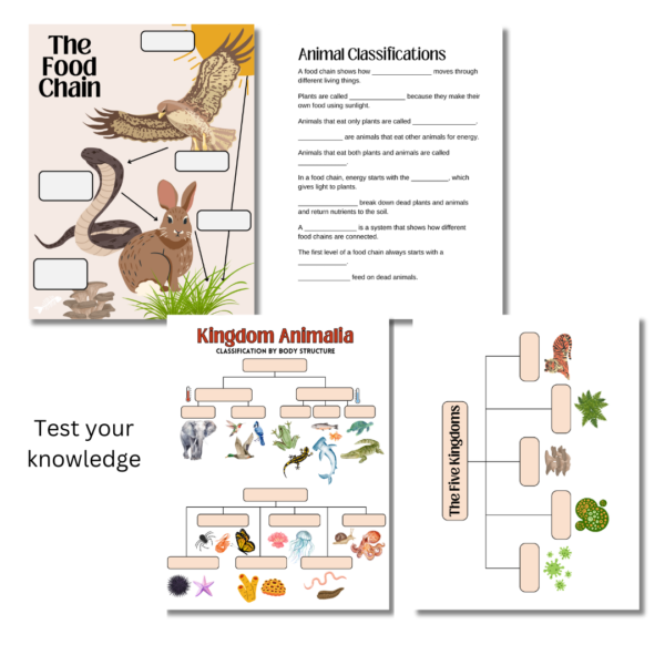 Unit Study: Animal Classifications - Digital Bakerie Shop