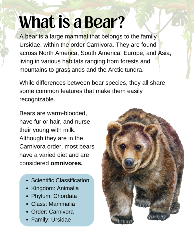 Bears Unit Study - Digital Bakerie Shop