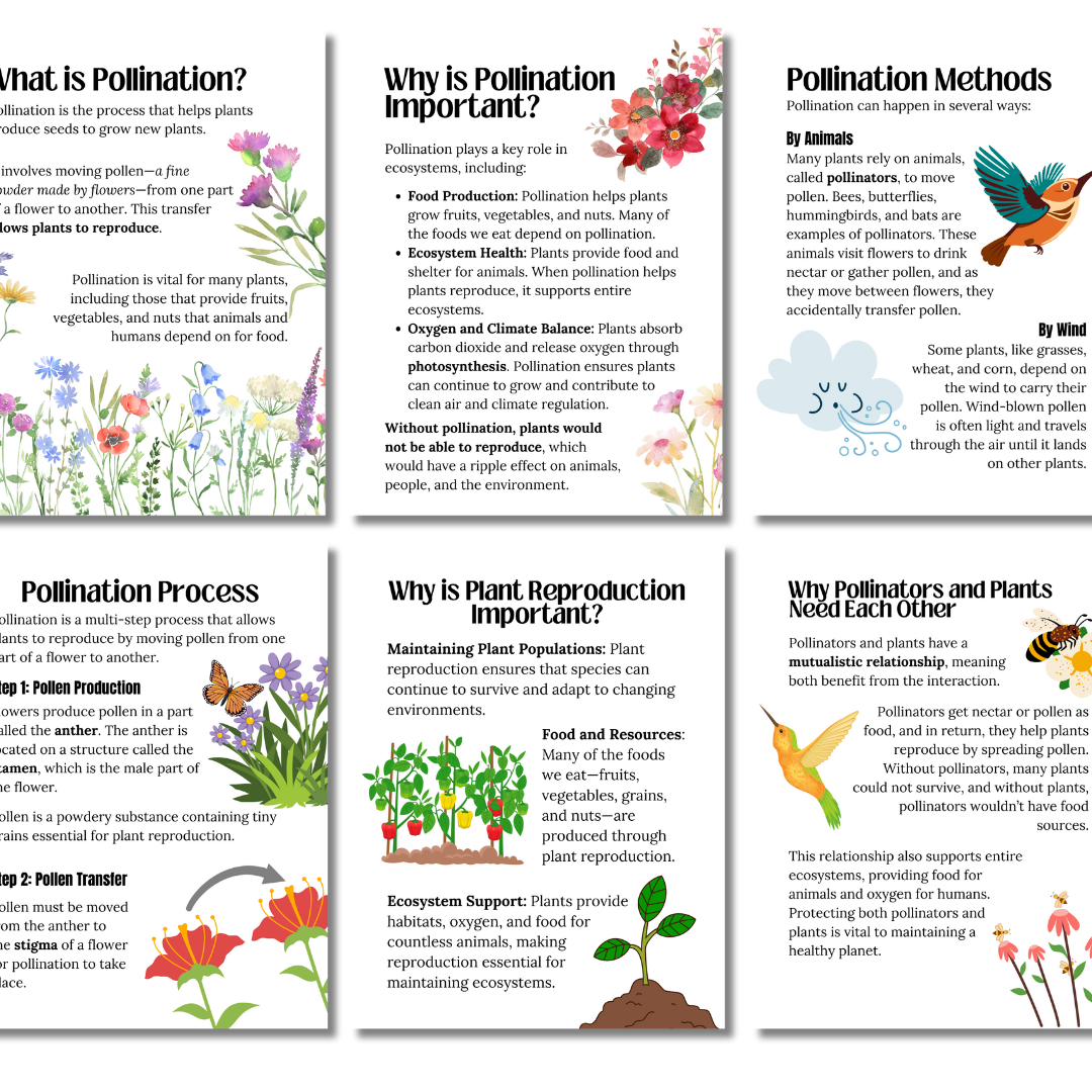 Pollination Unit Study - Digital Bakerie Shop