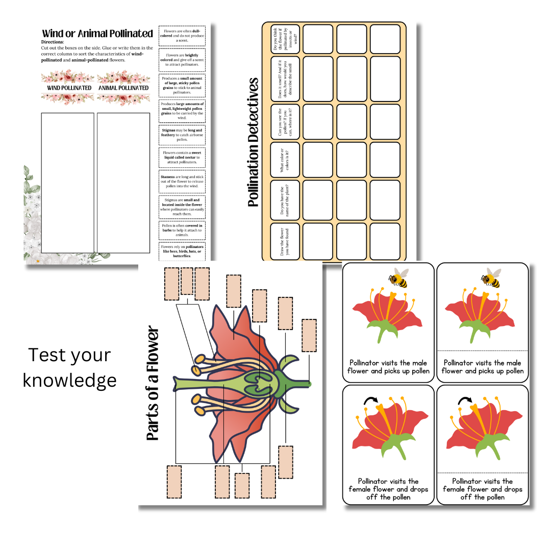 Pollination Unit Study - Digital Bakerie Shop
