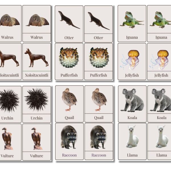 Animal Alphabet Mini Bundle - Digital Bakerie Shop