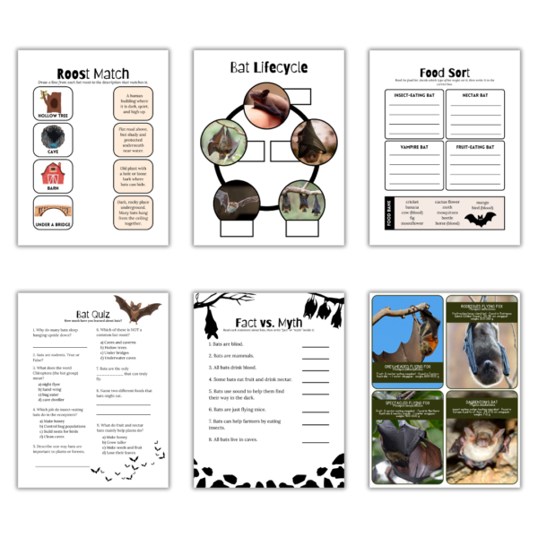 Bats Unit Study - Digital Bakerie Shop